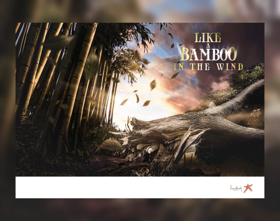 Creative Concepts Design | Graphic Design Agency | Eye Universe